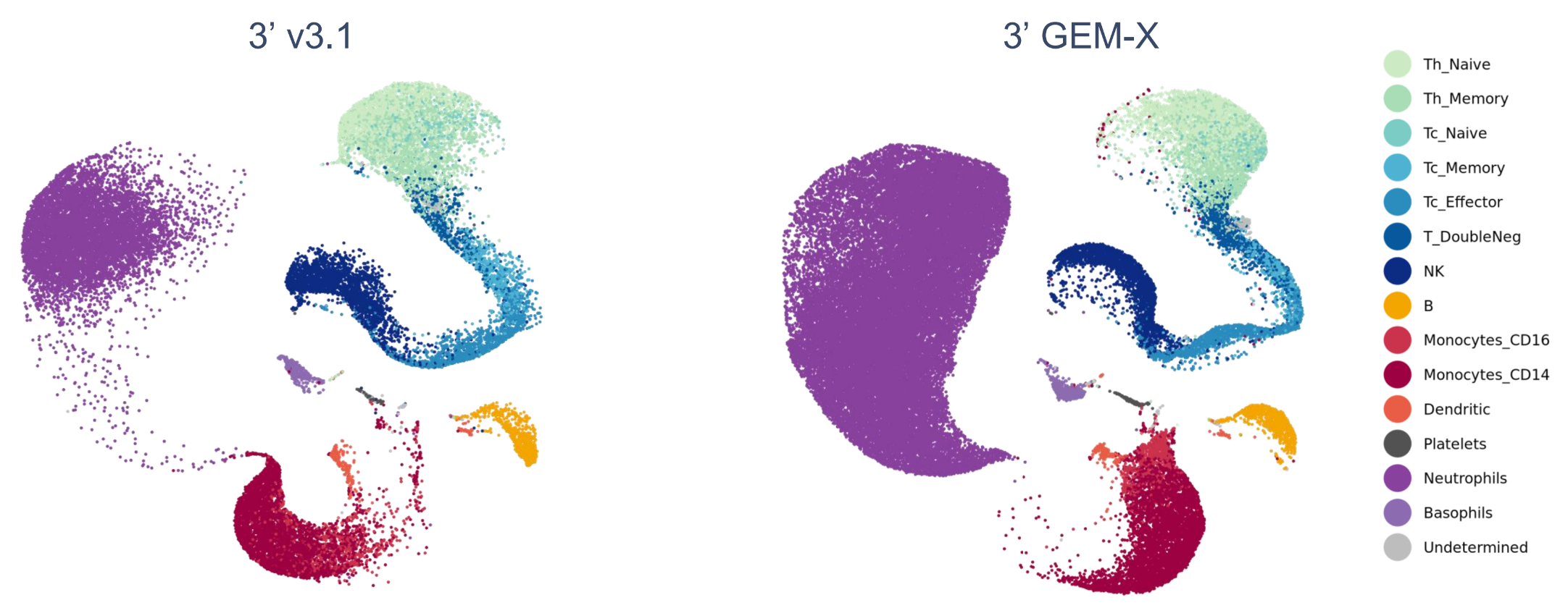 The mind blowing single cell and spatial advances revealed at AGBT 2024 - 10x Genomics